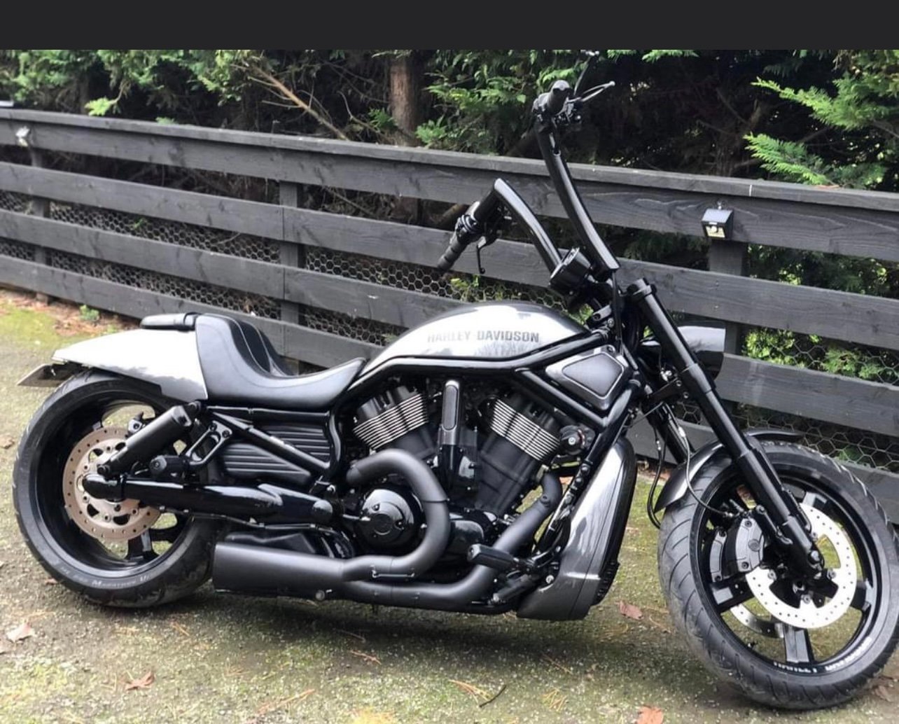 Harley Davidson Night Rod